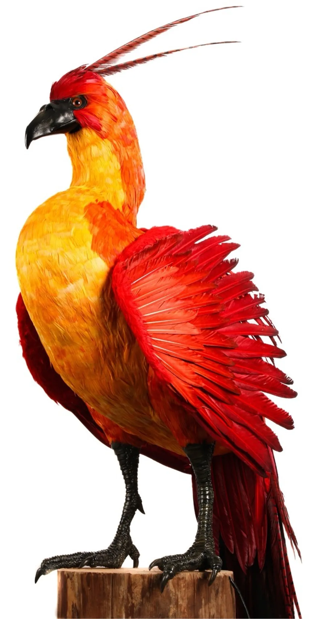 Charlotte Couch – AUB – Arts University Bournemouth