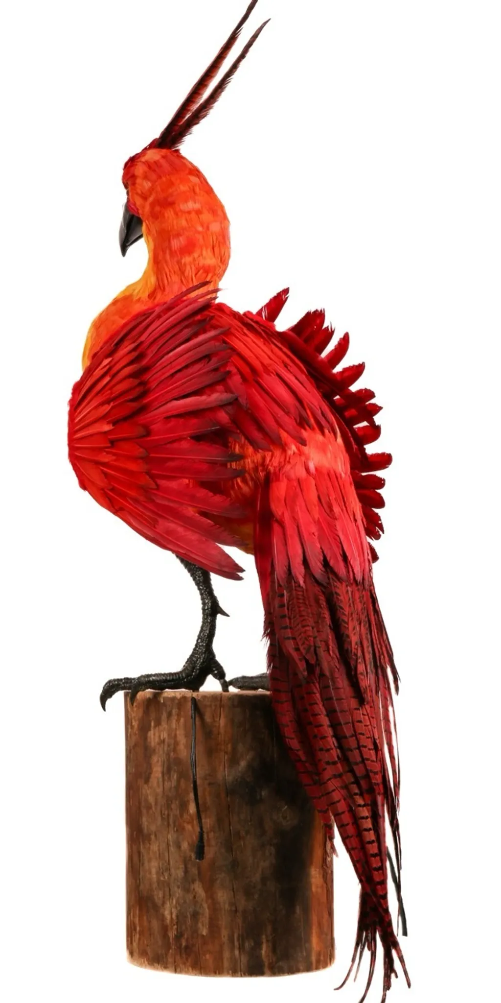 Charlotte Couch – AUB – Arts University Bournemouth