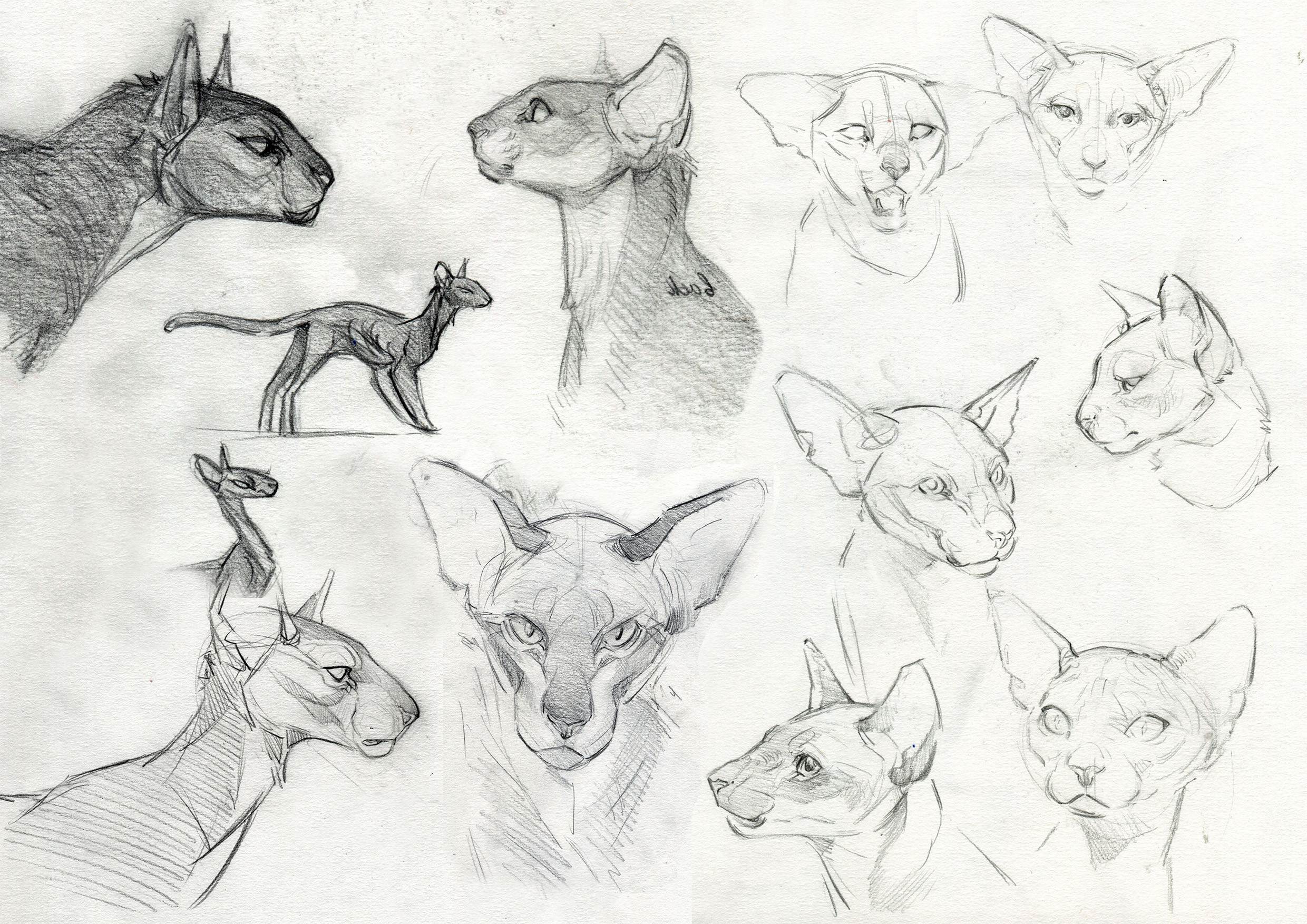 Simply Drawing! – AUB – Arts University Bournemouth