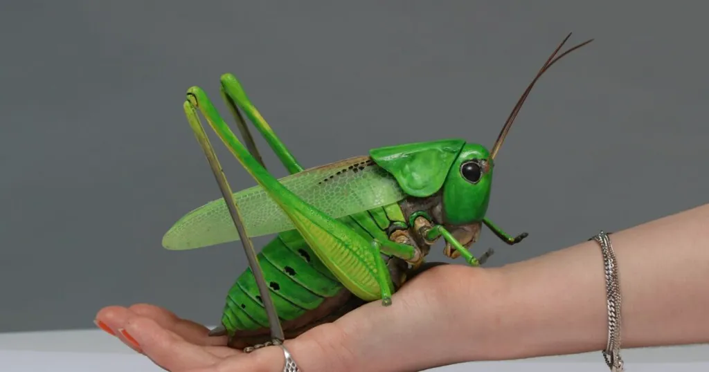 BA (Hons) Modelmaking – AUB – Arts University Bournemouth