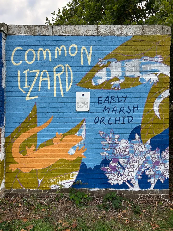 BA (Hons) Illustration students… – AUB – Arts University Bournemouth